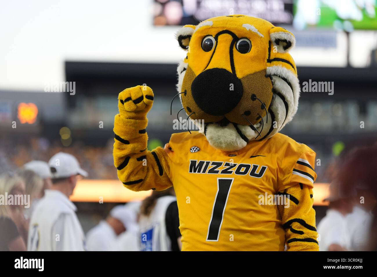 Missouri mascot Truman the Tiger is seen during the first half of an ...