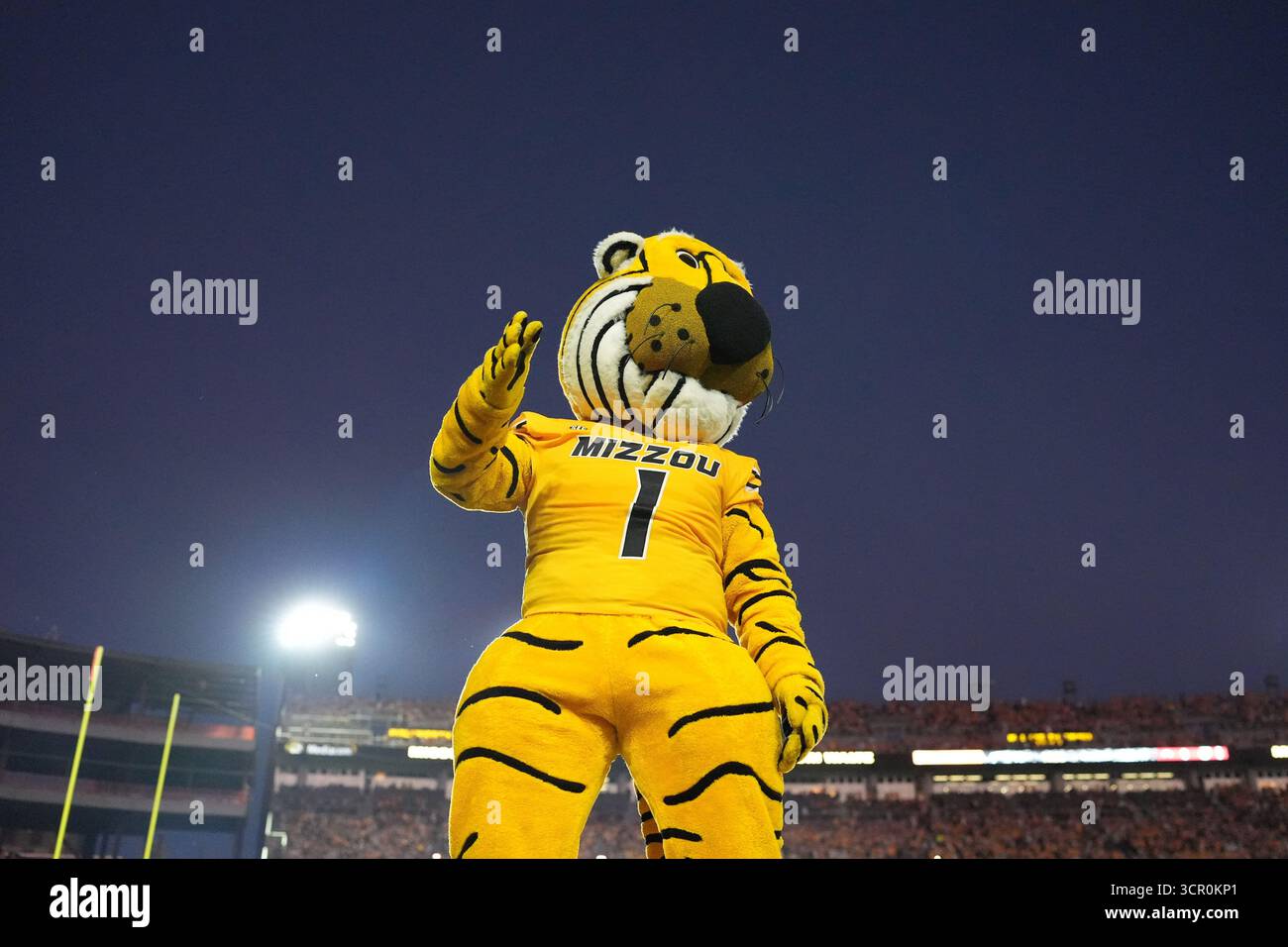 Missouri mascot Truman the Tiger is seen during the first half of an ...