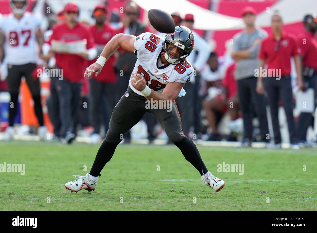 Tampa Bay Buccaneers tight end Cade Otton (88) is unable to hold on to ...