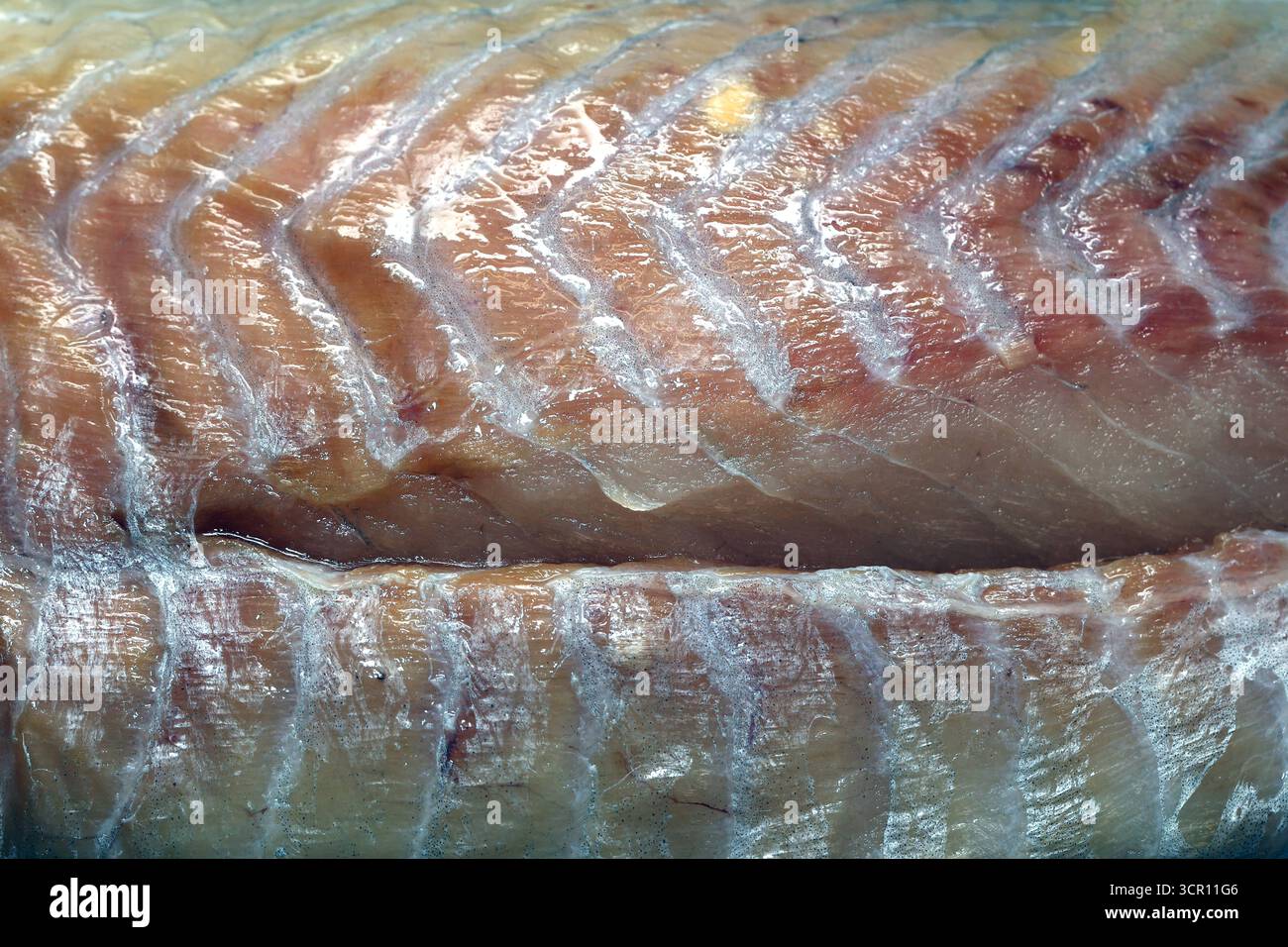 Fische als Lebensmittel Das Filet von einem Köhler, der als ...