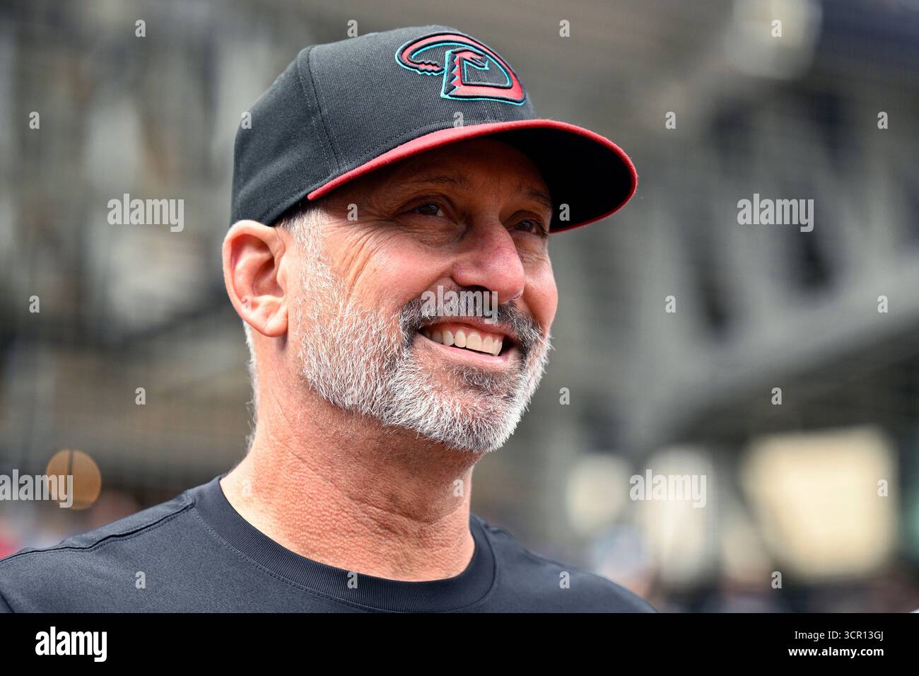 Arizona Diamondbacks manager Torey Lovullo looks on before a baseball ...