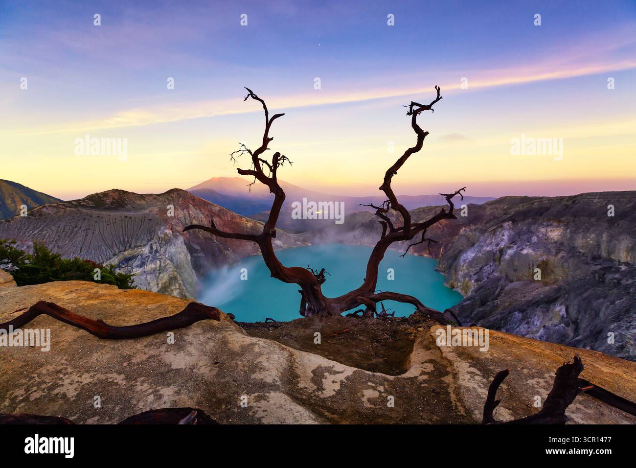 Beautiful sunrise view of Kawah Ijen Volcano crater with trees and lake ...