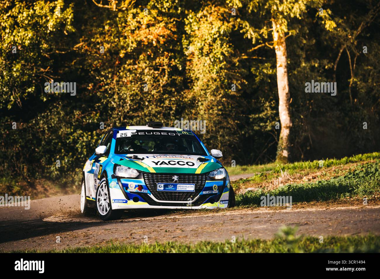 25 BARNOUIN Benjamin, GAREL Romain, Peugeot 208 Rally4, Sarrazin ...