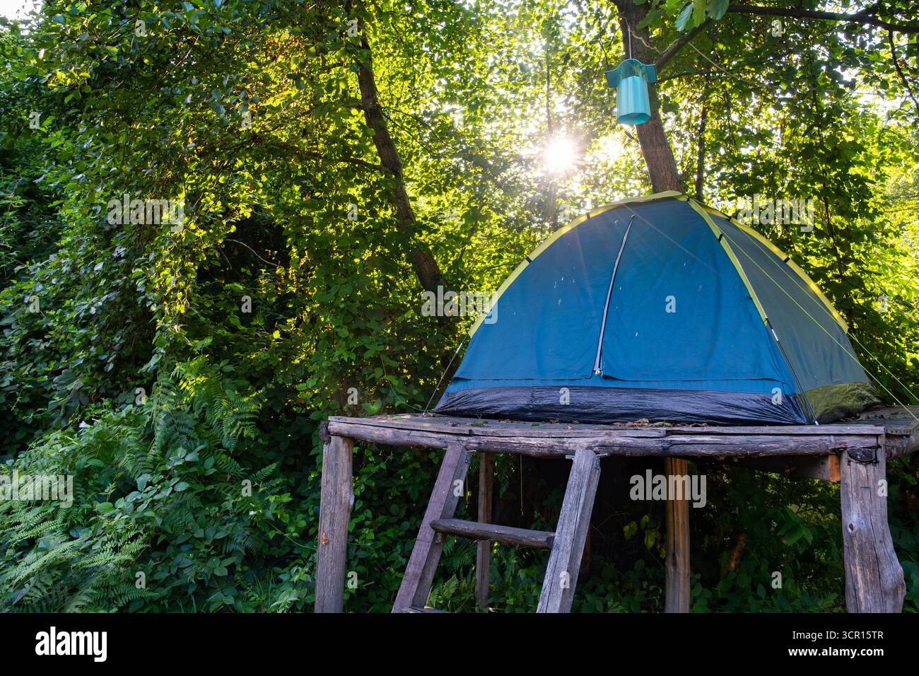 Tents on elevated wooden platforms in lush forest backyard. Unique ...