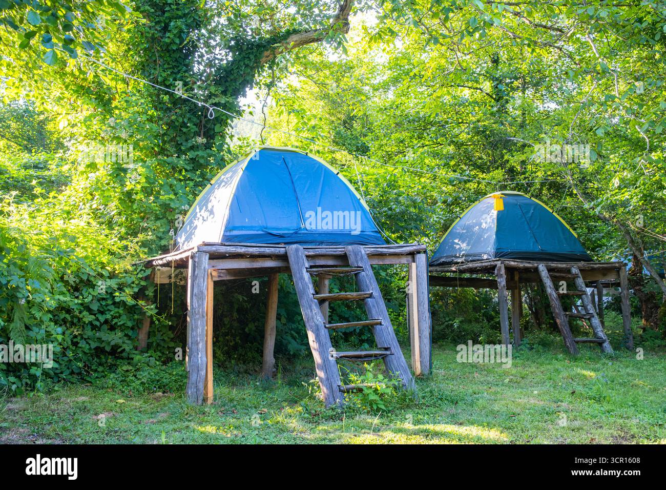 Tents on elevated wooden platforms in lush forest backyard. Unique ...