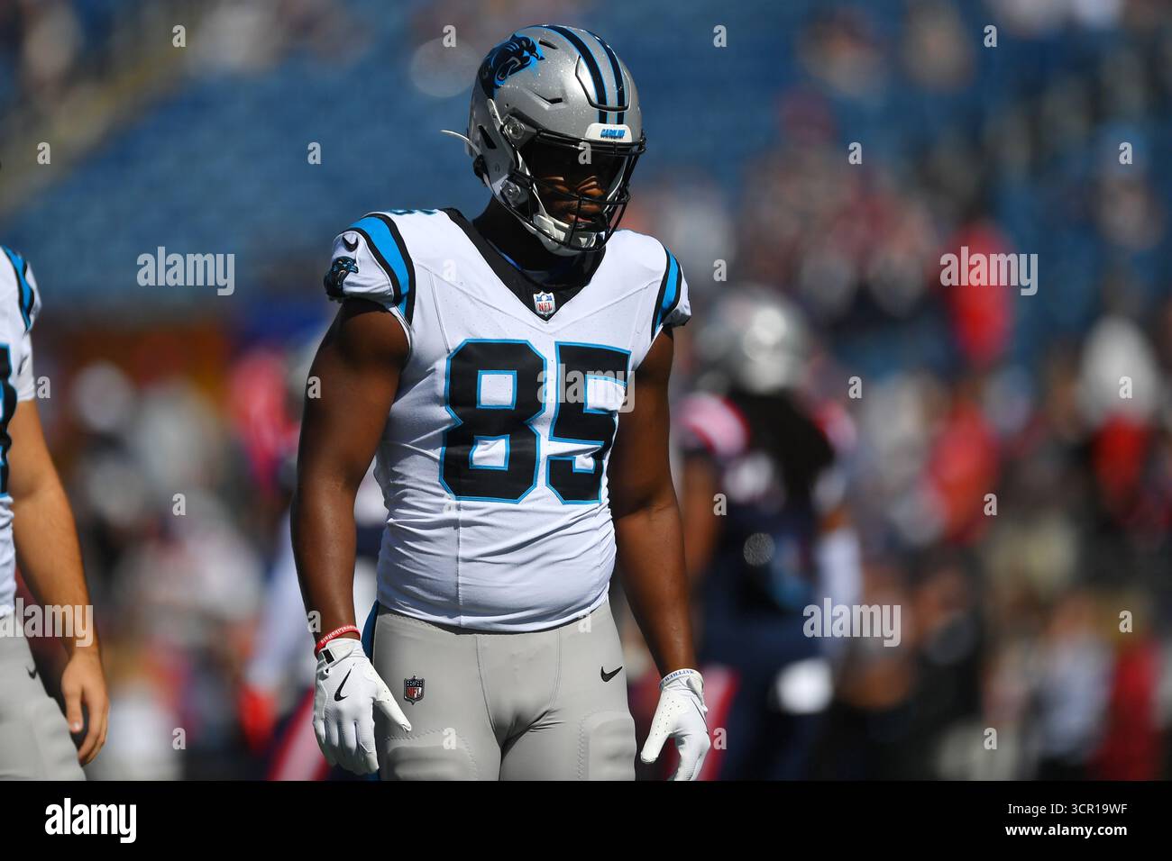 Carolina Panthers tight end James Mitchell (85) warms up before an NFL ...