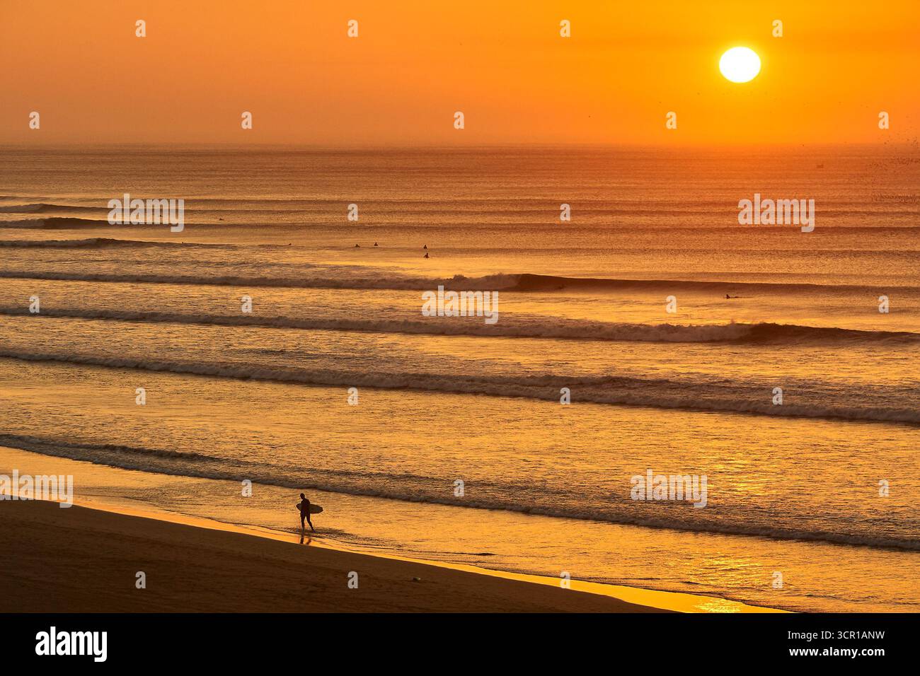 Chicama is famous for being home to one of the longest left-hand waves ...