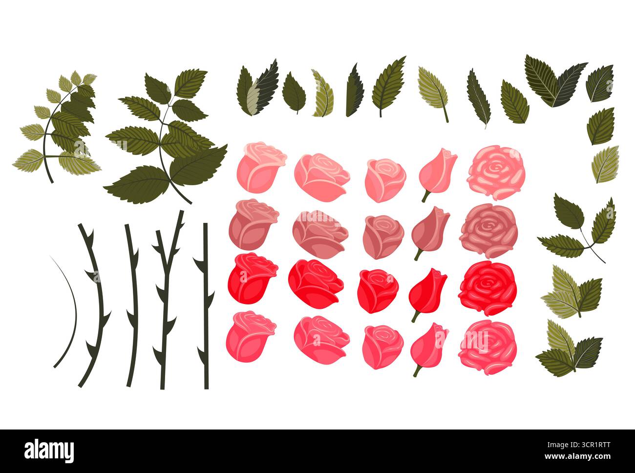 Set of rose elements for your design. Vector illustration isolated on ...