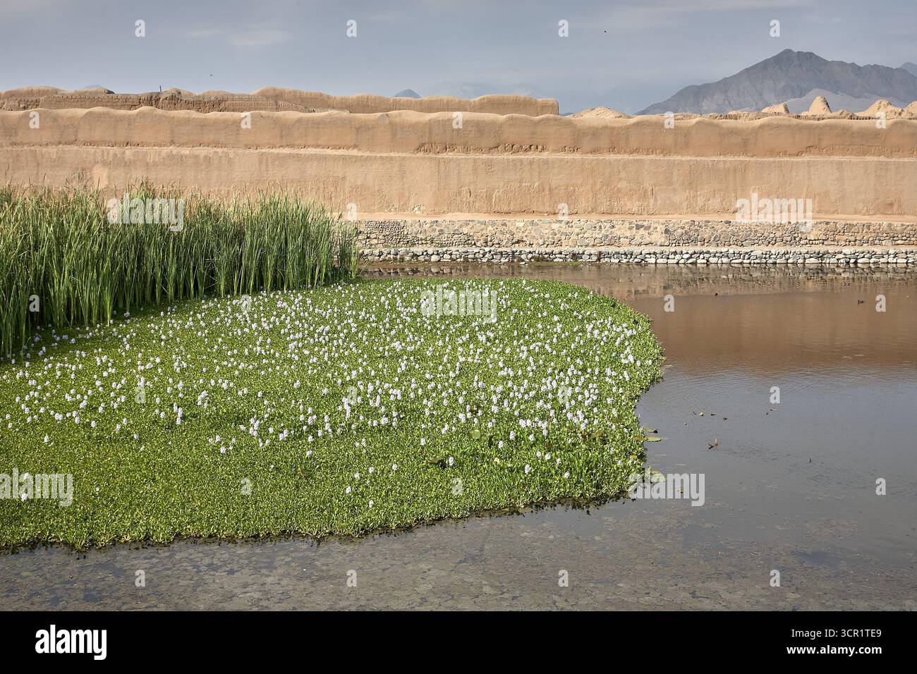 Chimú hi-res stock photography and images - Alamy