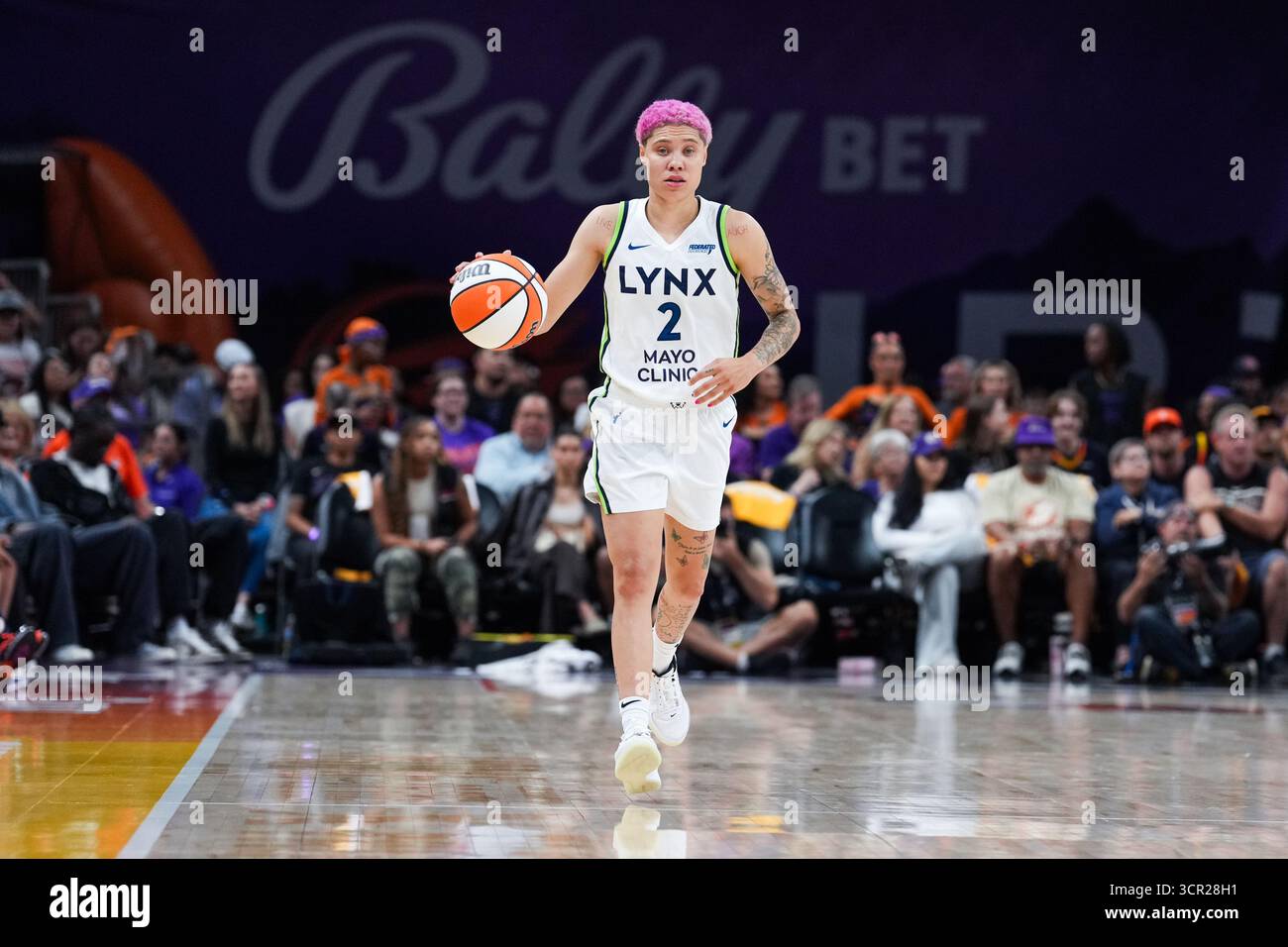 Minnesota Lynx guard Natisha Hiedeman (2) dribbles the ball during the ...