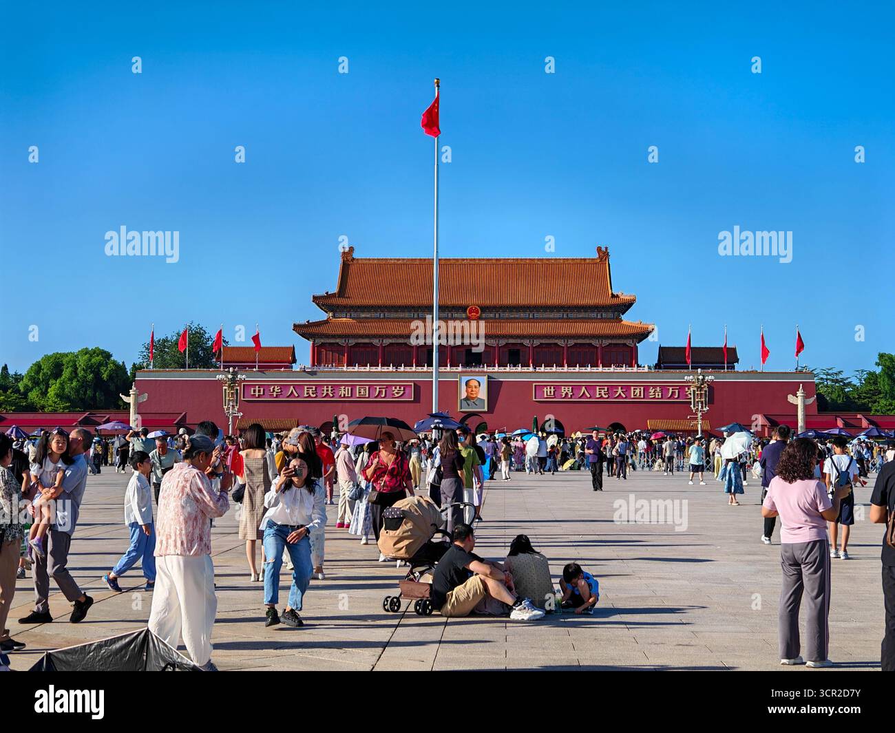 Tourist capturing impressive panoramic hi-res stock photography and ...