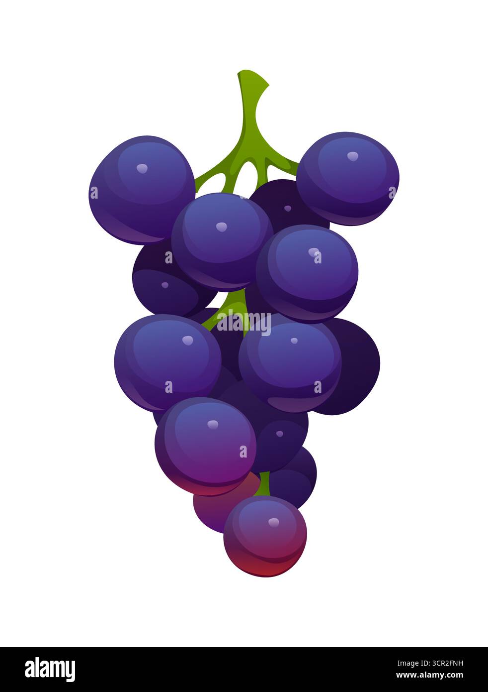 Bunch ripe dark sweet Stock Vector Images - Alamy