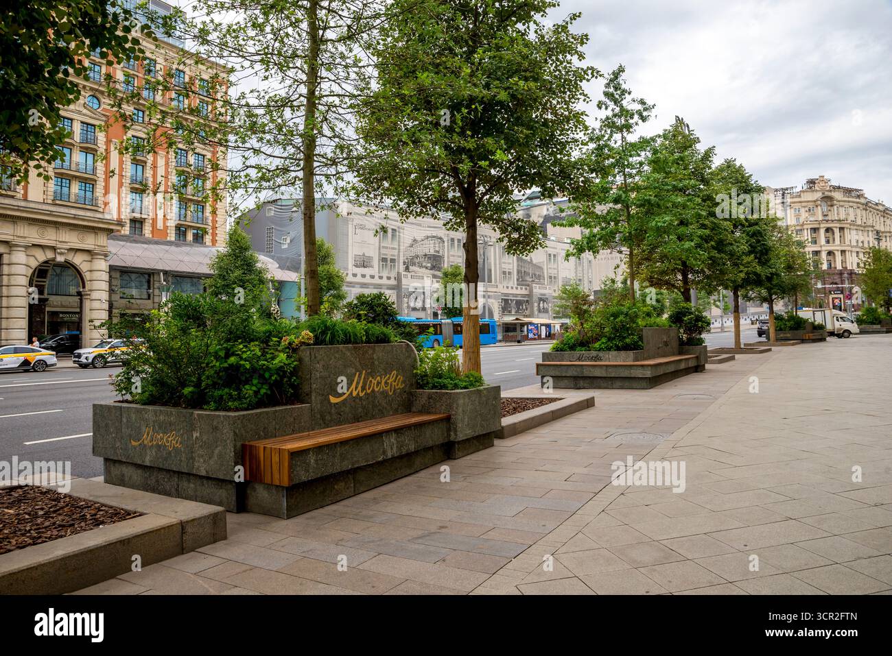 Street view featuring trees hi-res stock photography and images - Alamy