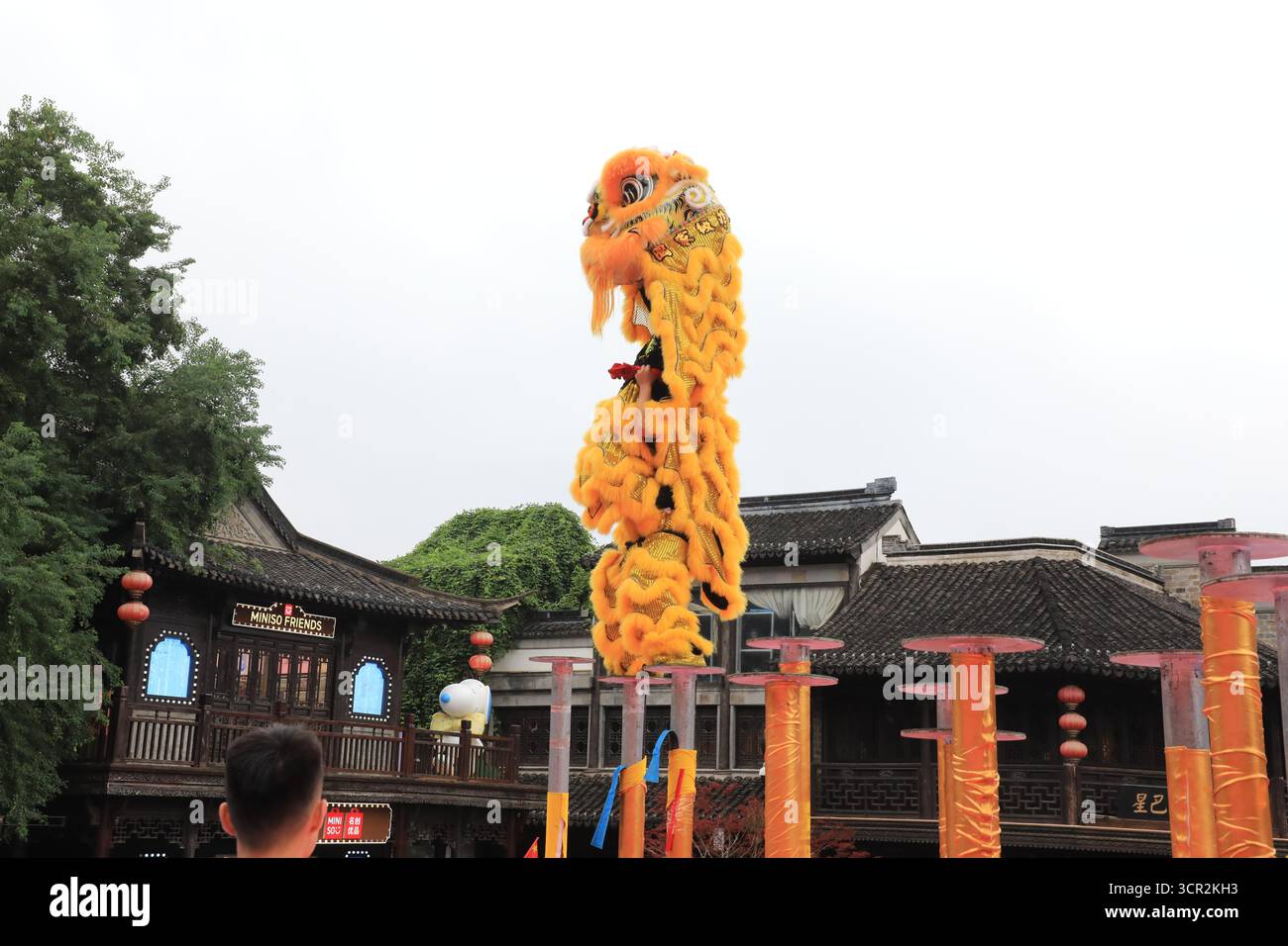 The 2025 World Chinese King of Lion Dance Championship kicks off in ...