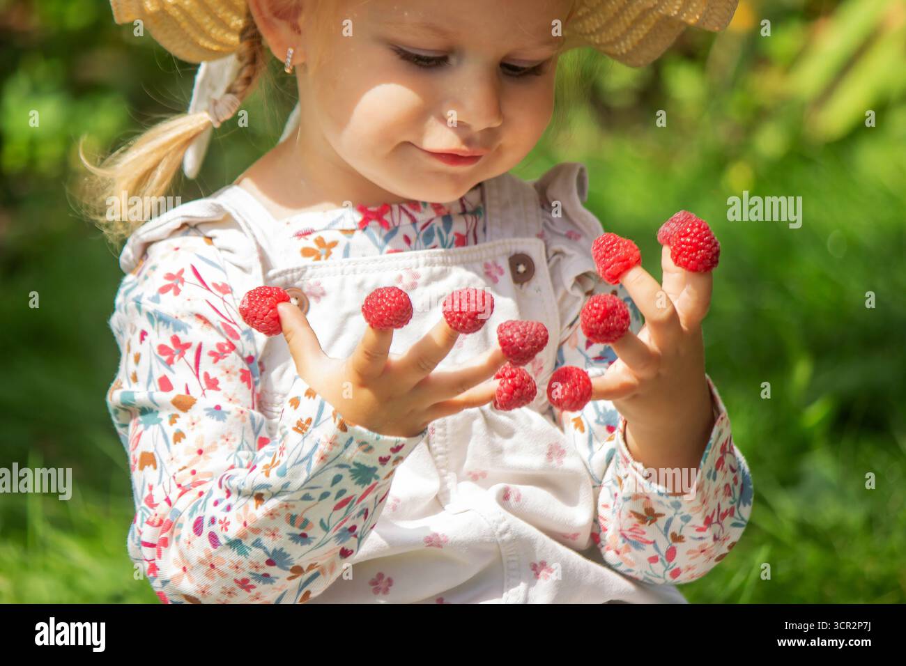 A little girl in the garden is eating raspberries Stock Photo - Alamy