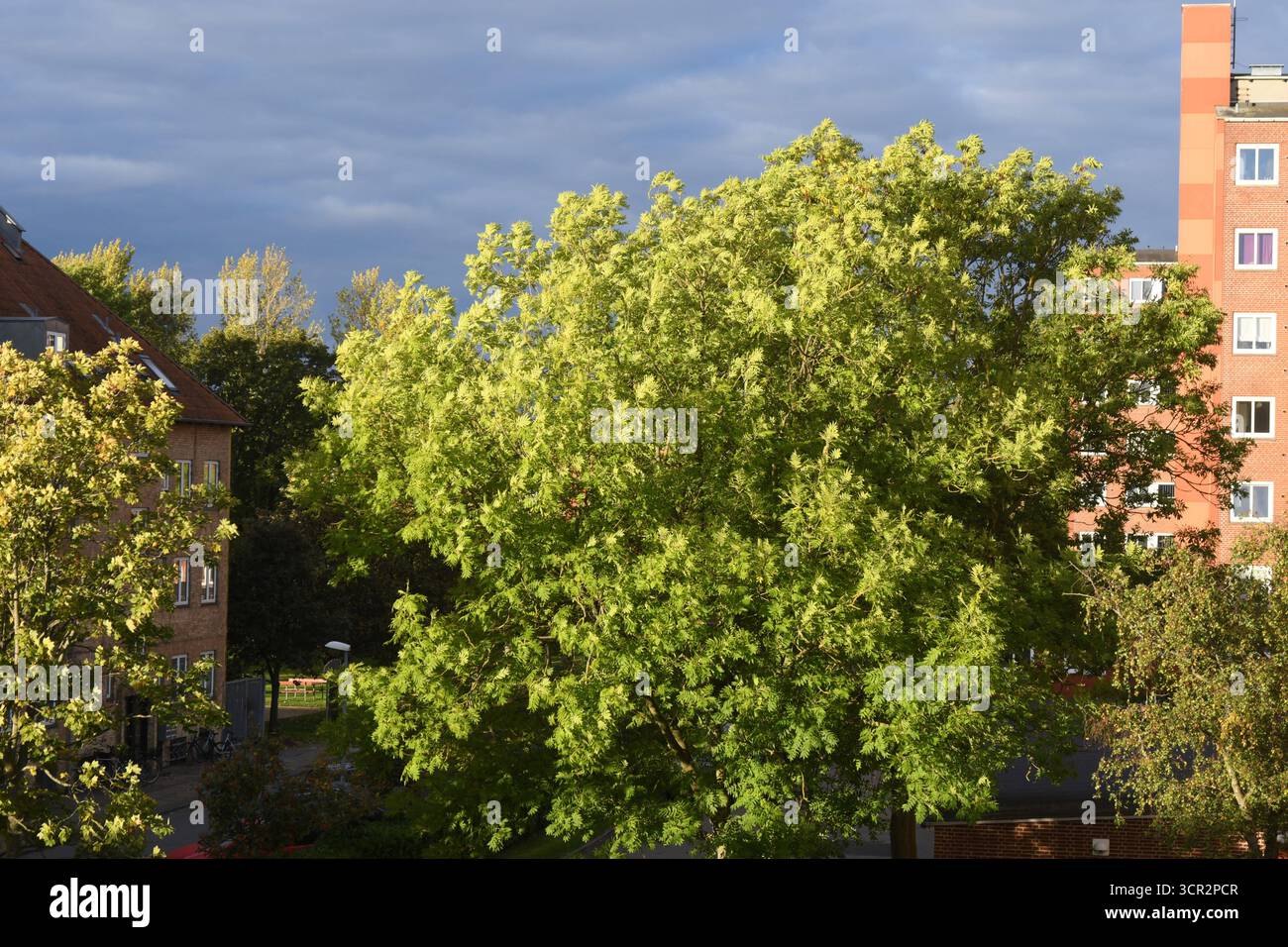 Kastrup/Copenhagen/ Denmark/20 september 2025/.dankish weather sun ...