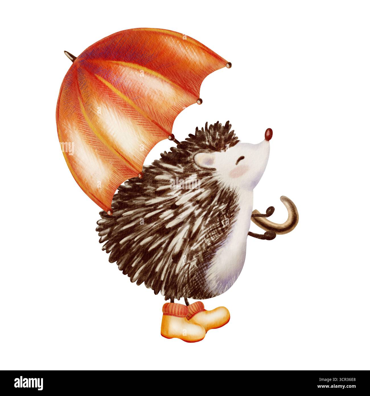 Fluffy hedgehog with an orange umbrella and in yellow rubber boots ...