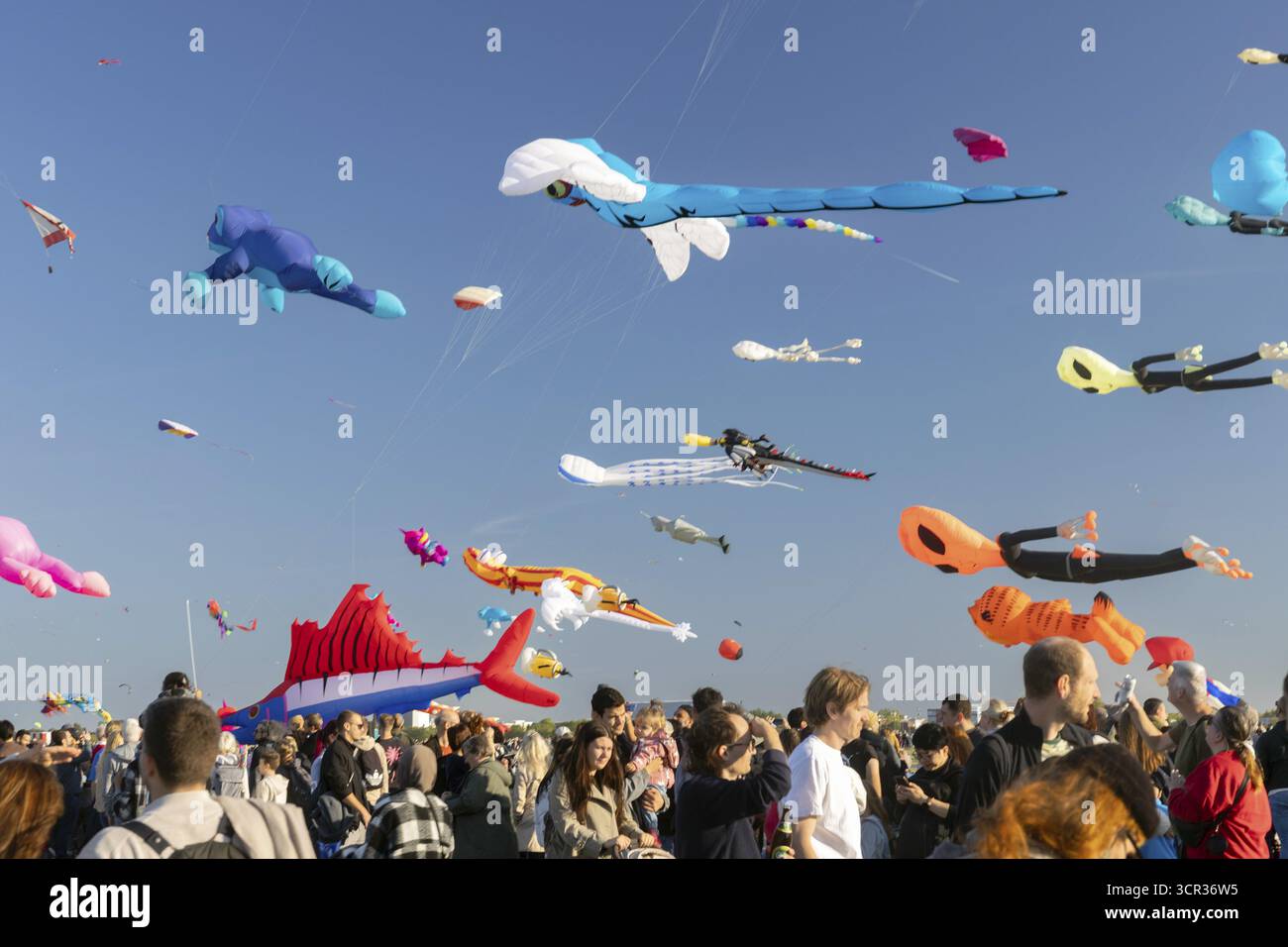 CITY AND COUNTRY Festival of GIANT DRAGONS 2025, 27 September 2025 ...