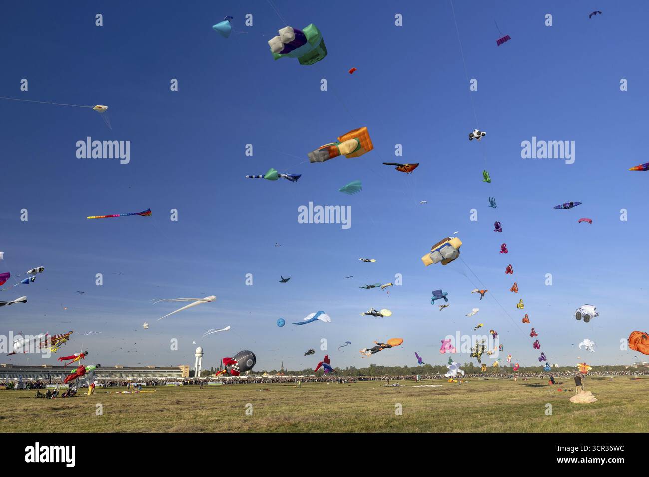 CITY AND COUNTRY Festival of GIANT DRAGONS 2025, 27 September 2025 ...