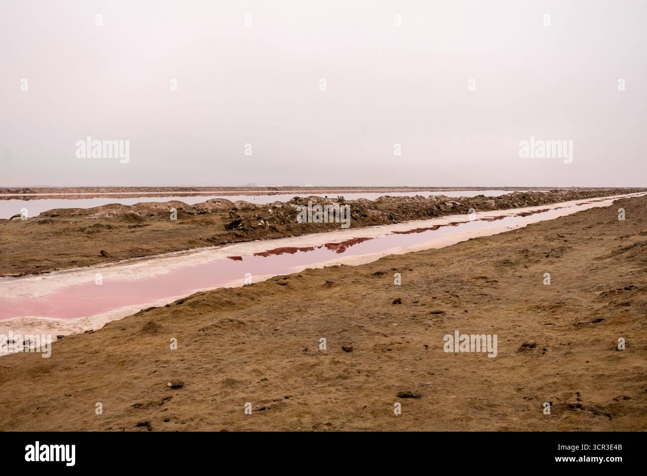 Pink salt flats with mineral-rich water in Sandwich Harbour, Namib ...