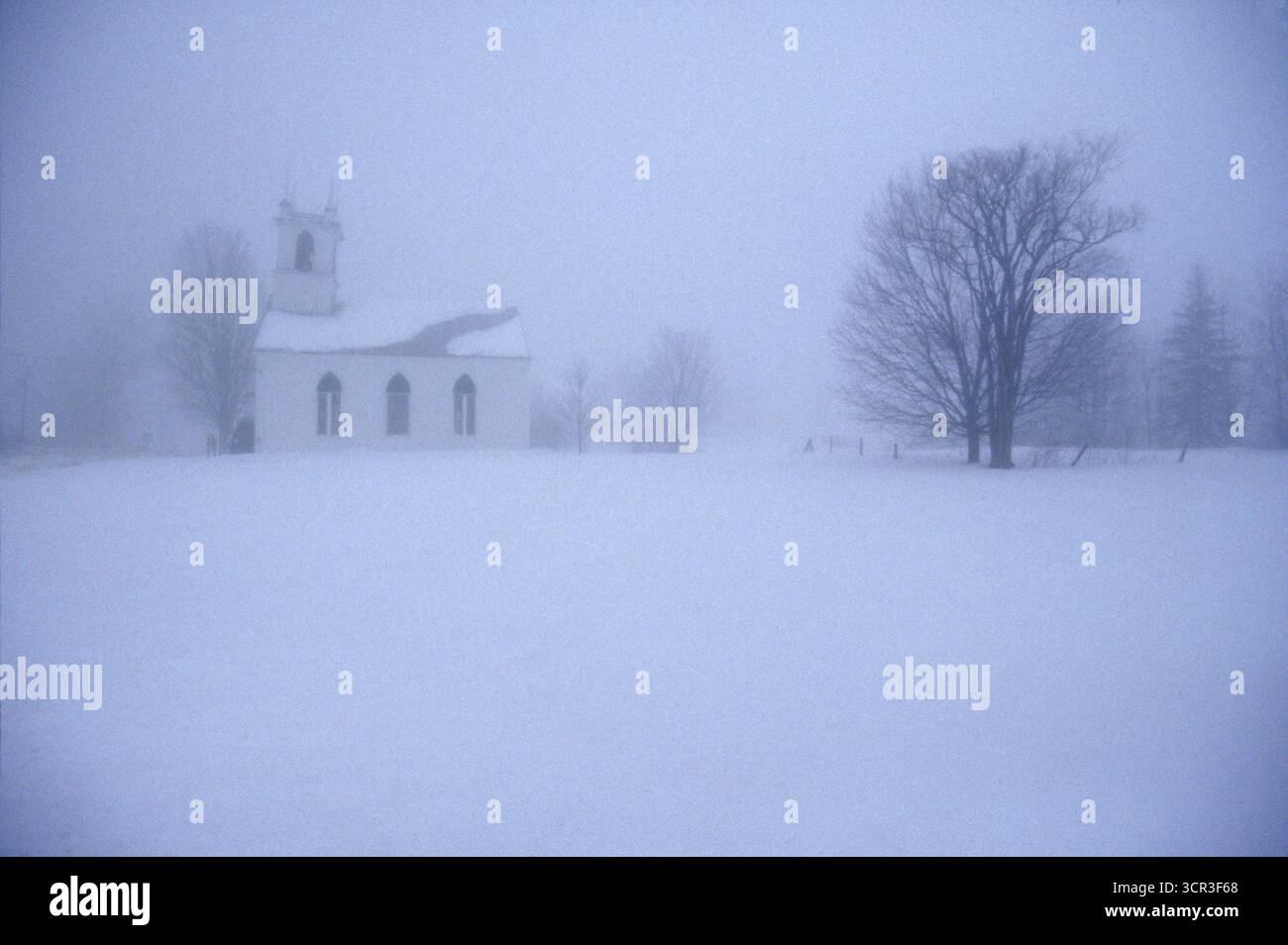 Faint outline of trees in hi-res stock photography and images - Alamy