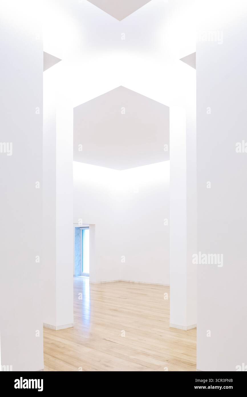 Minimalist interior architectural perspective featuring a columned ...