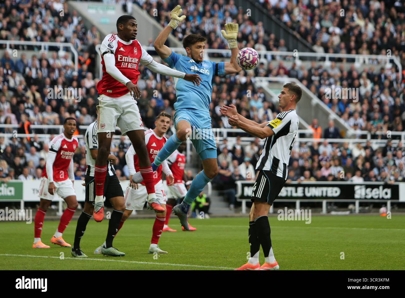Nick Pope Of Newcastle United drops a ball during the Premier League ...