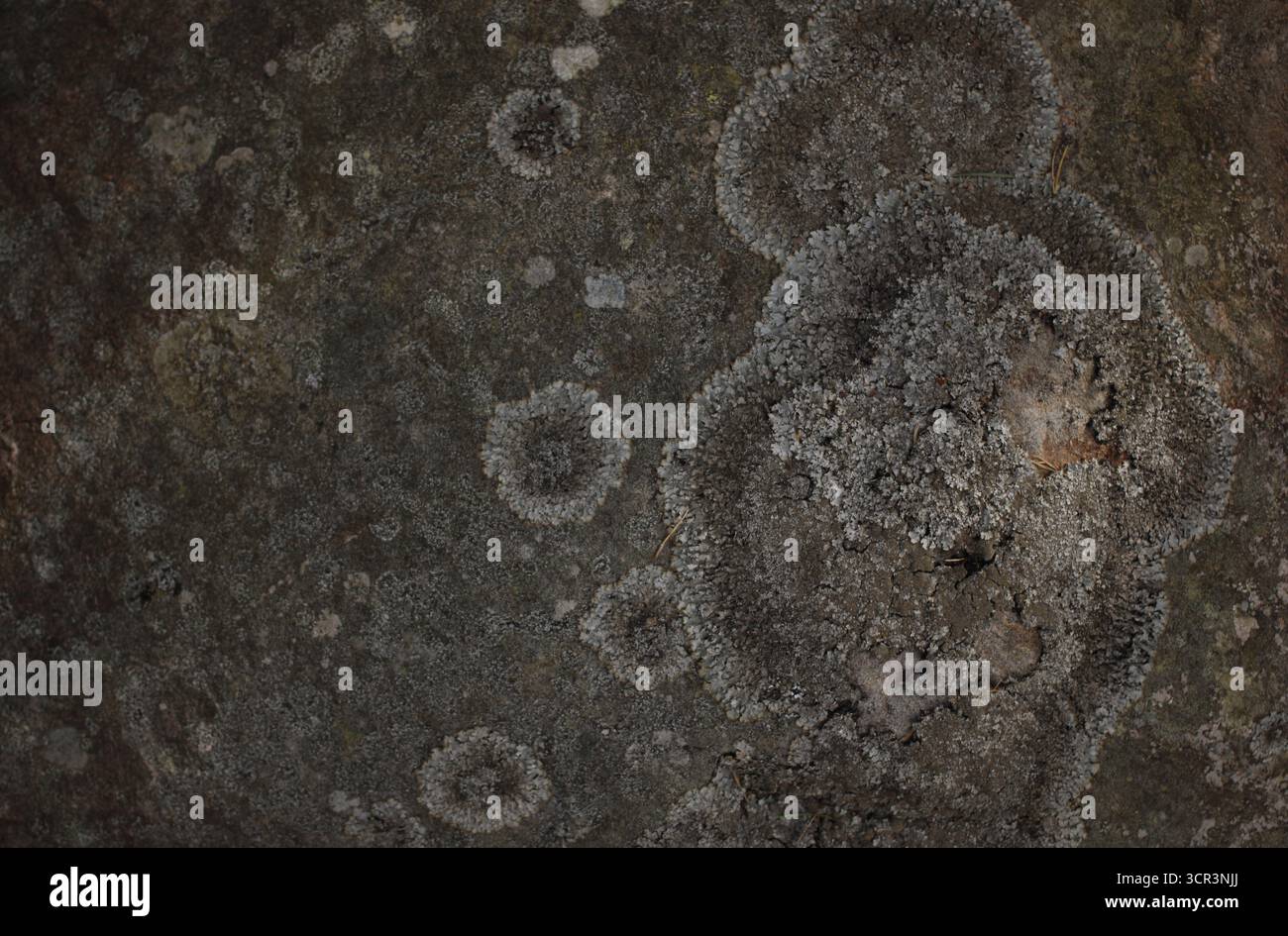 Formation round hi-res stock photography and images - Alamy