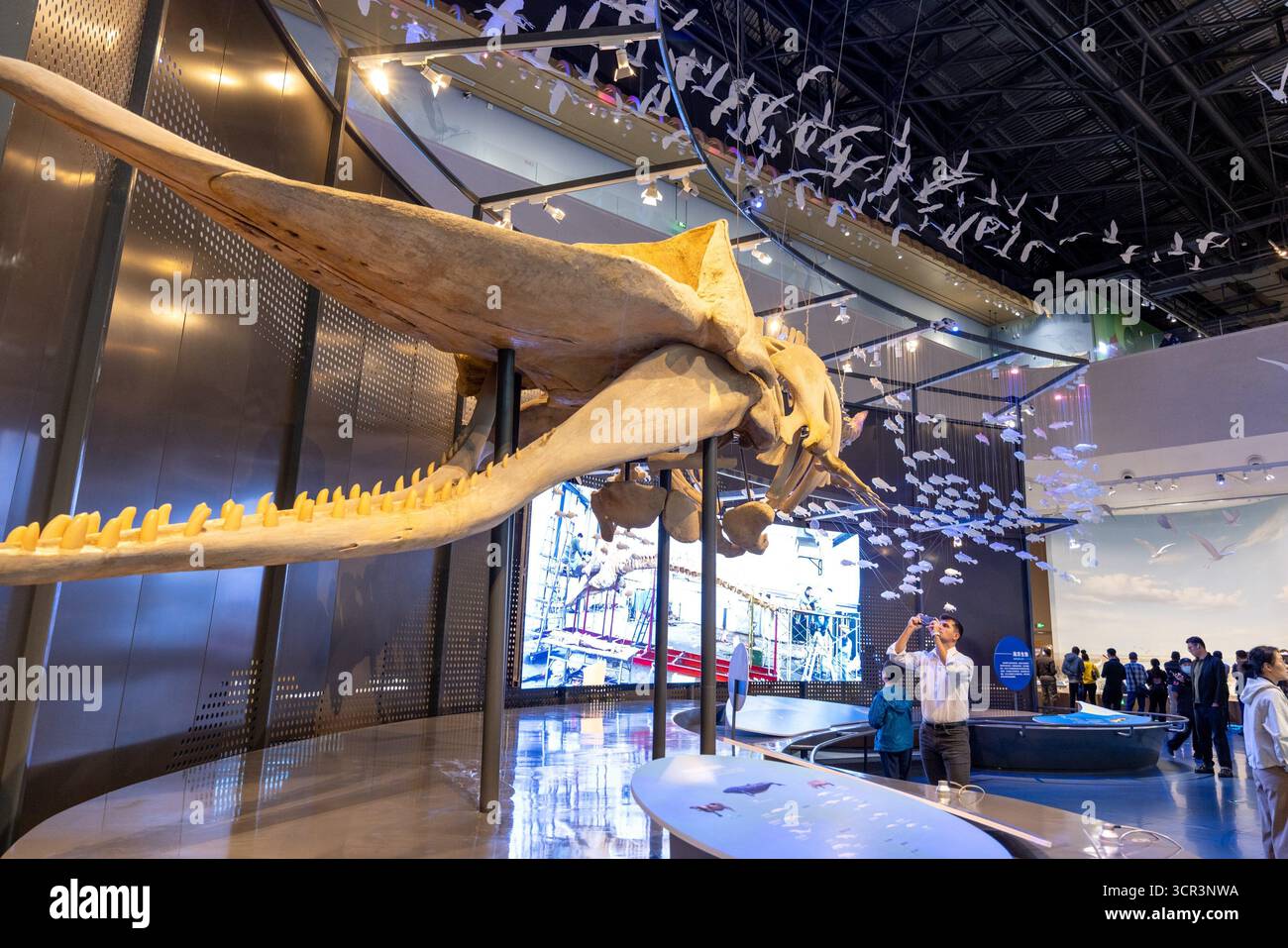 IMAGE DISTRIBUTED FOR WORLD COASTAL FORUM - The China Yellow Sea ...