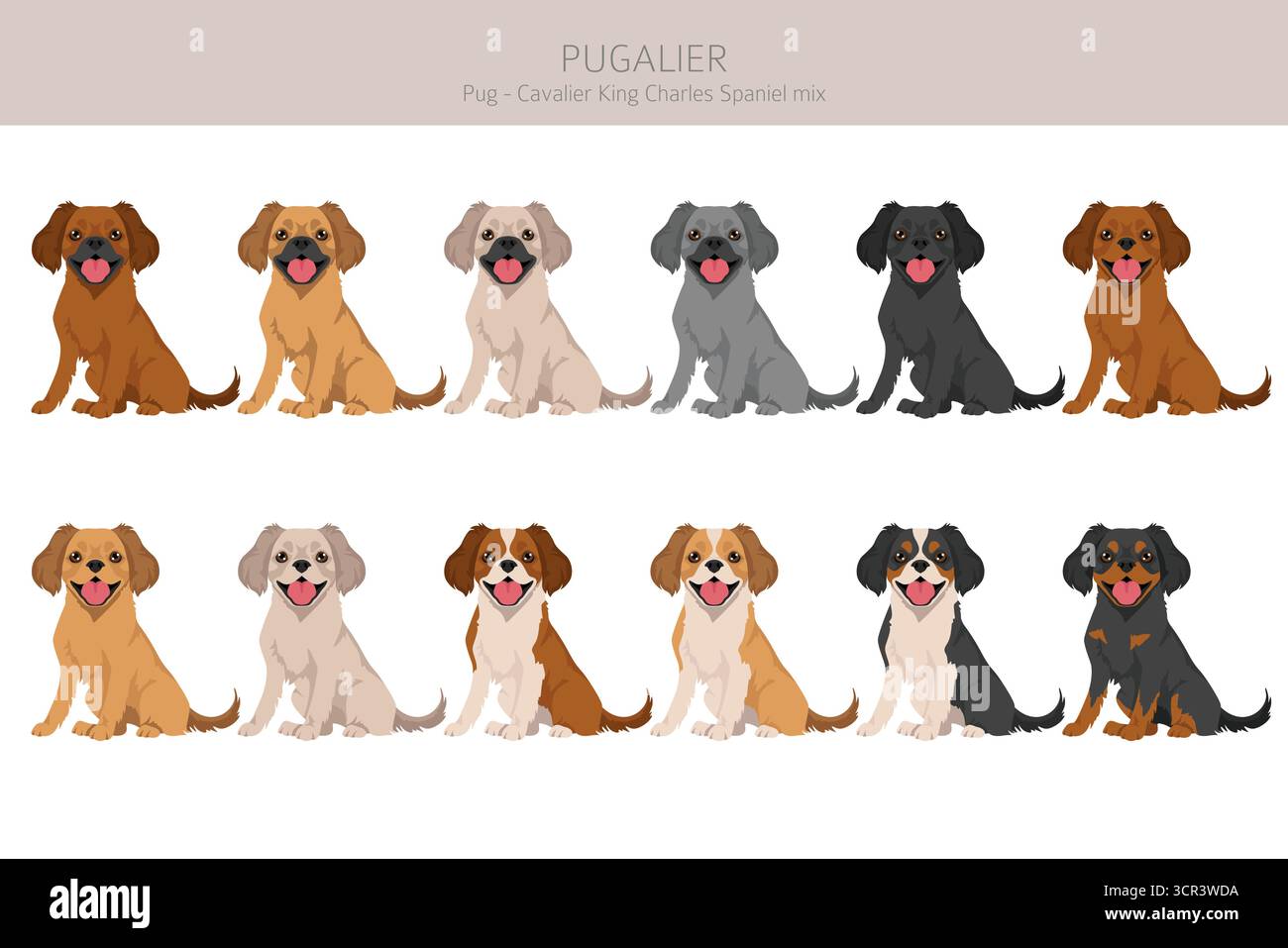 Pugalier Stock Vector Images - Alamy