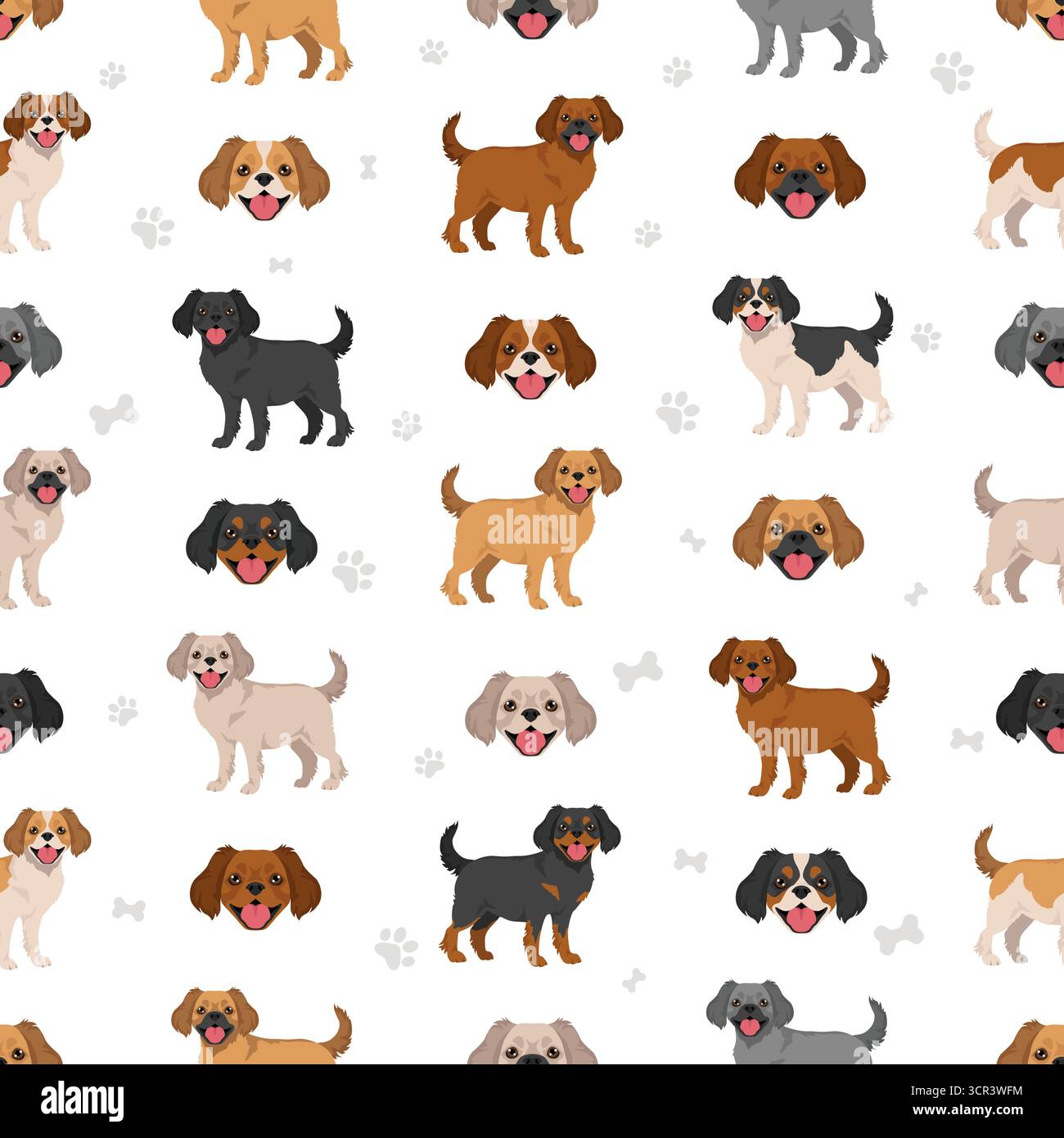 Pugalier, Cavapug clipart. Pug - Cavalier KIng charles Spaniel mix ...