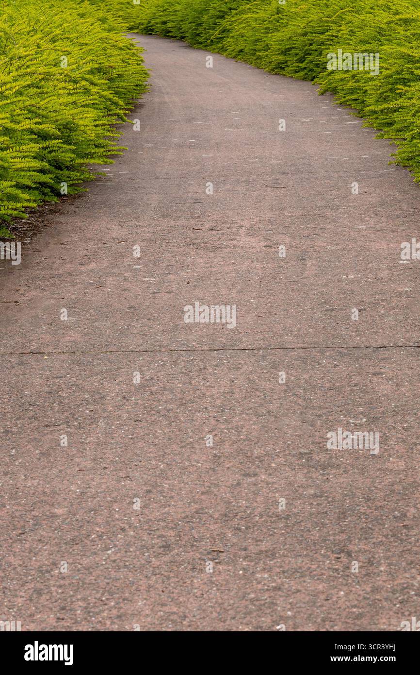 Asphalt green recreation area hi-res stock photography and images - Alamy