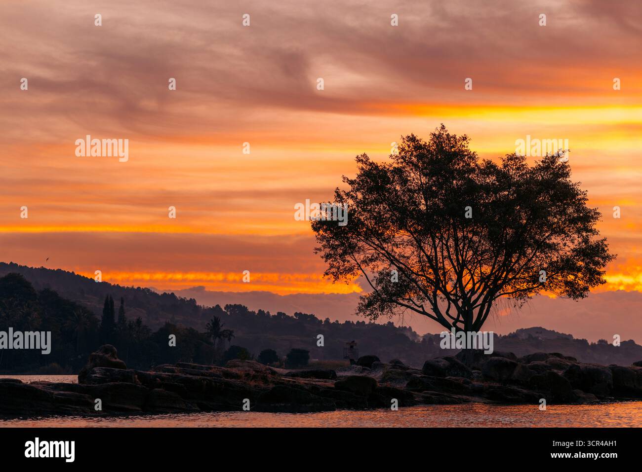 Tobnorth hi-res stock photography and images - Alamy