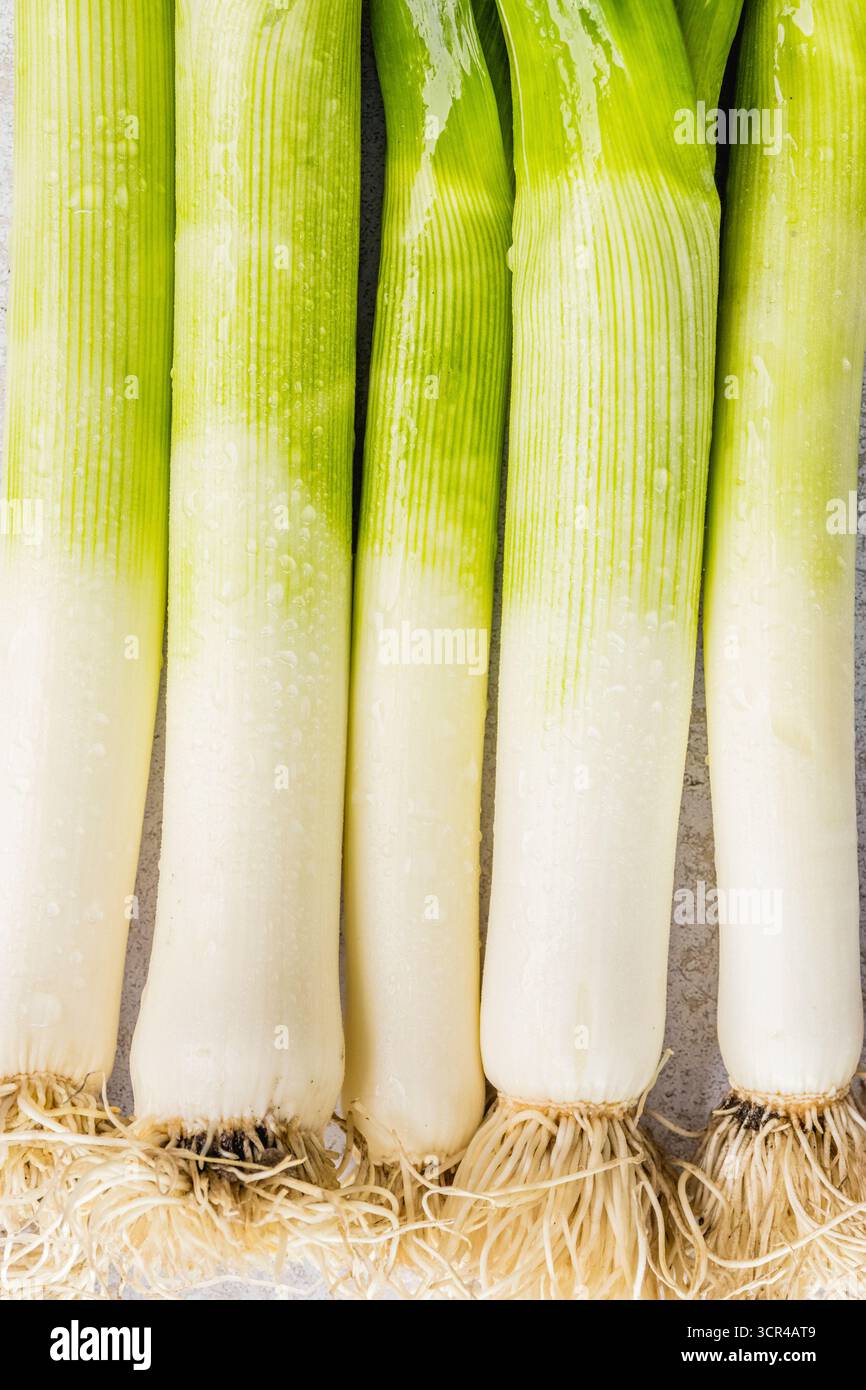 Fresh Leeks on Rustic Kitchen Surface Stock Photo - Alamy
