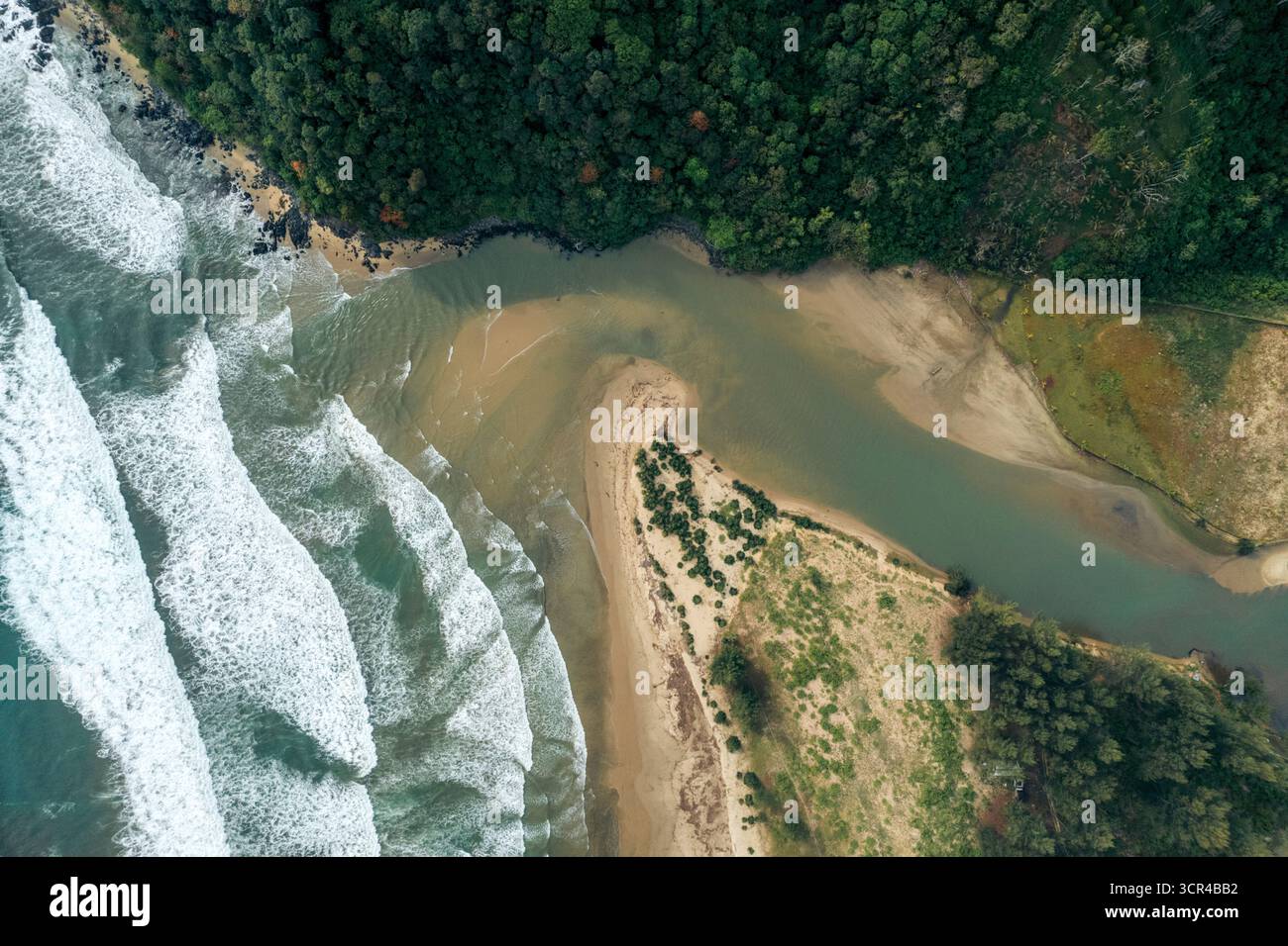 Aerial view of a river meeting the ocean surrounded by lush green ...