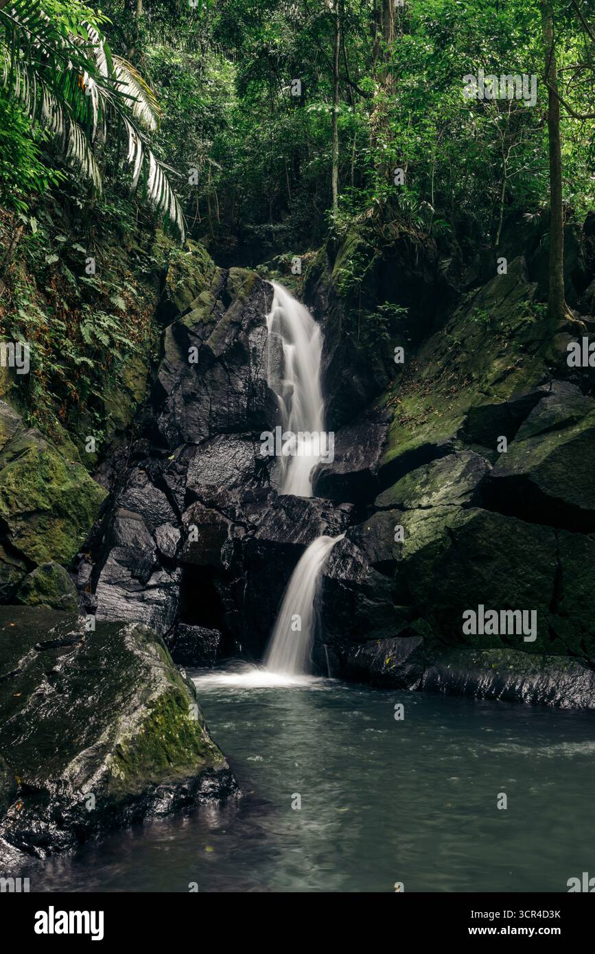 Pria Laot Waterfall cascading over mossy rocks in a lush green forest ...