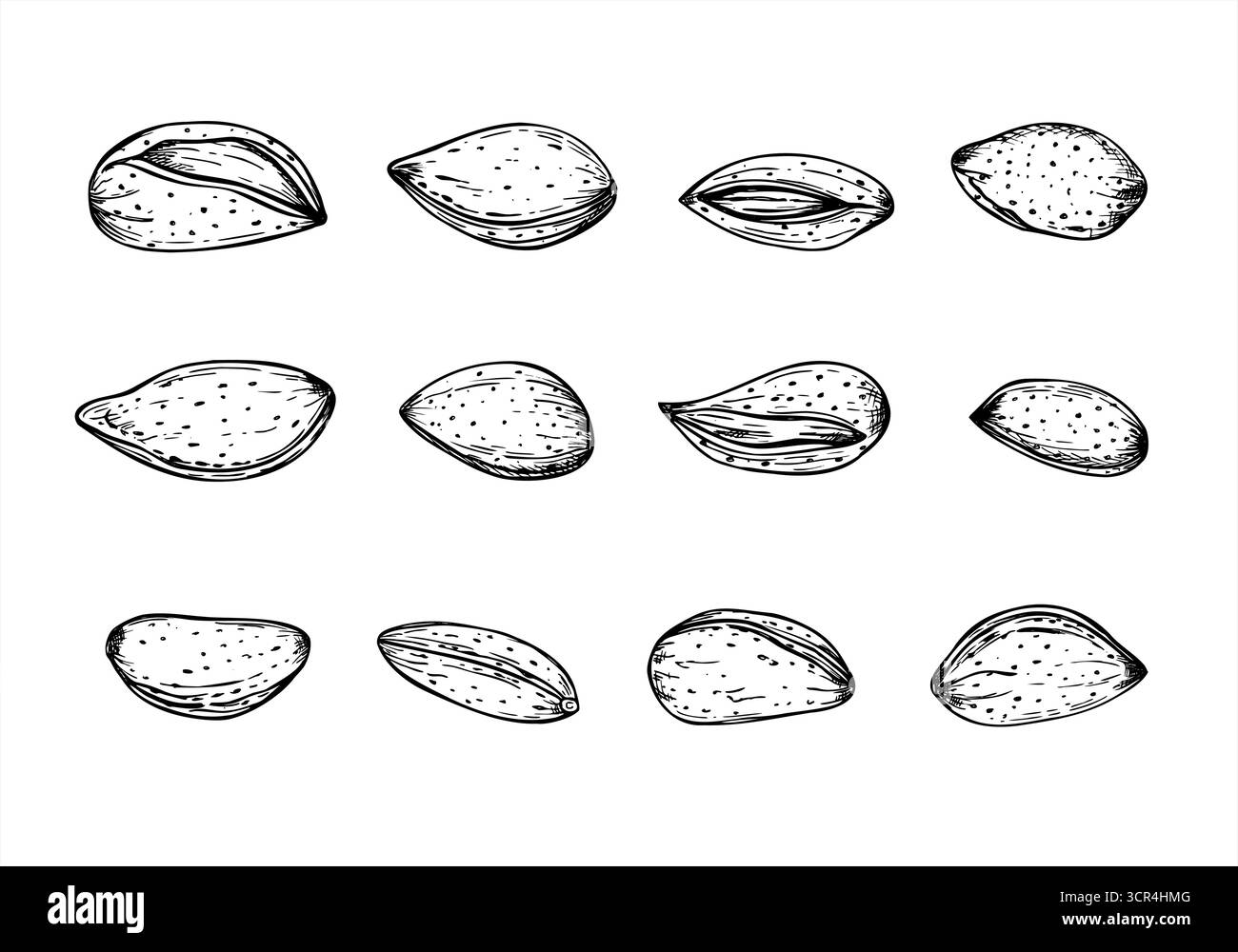 Apricot nut Black and White Stock Photos & Images - Alamy