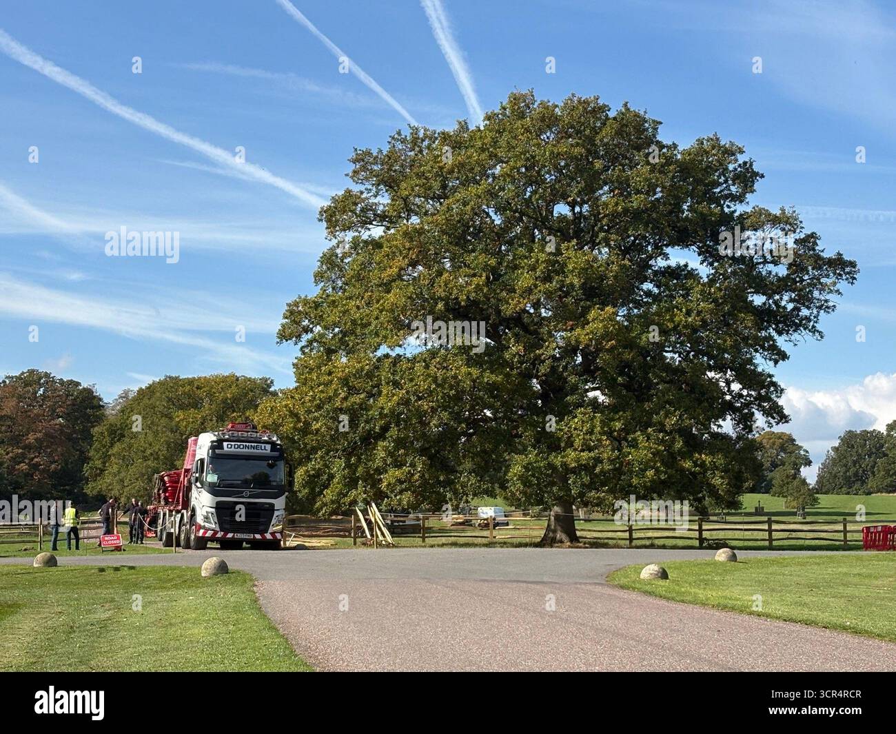 Forest lodge windsor hi-res stock photography and images - Alamy