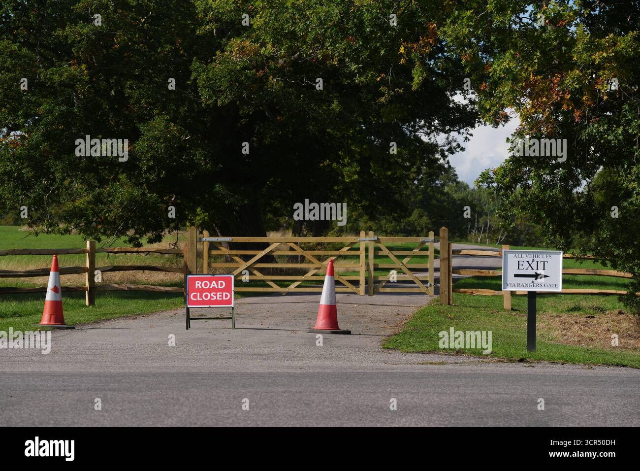 Forest lodge windsor hi-res stock photography and images - Alamy