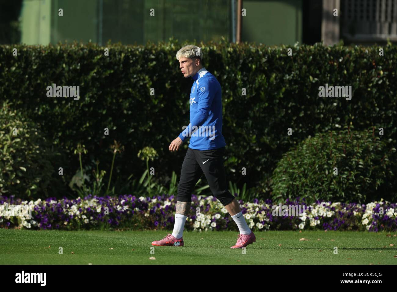 Chelsea's Alejandro Garnacho during a training session at Cobham ...