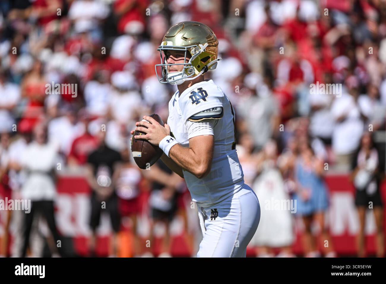 Notre Dame quarterback CJ Carr (13) drops back to pass against Arkansas ...