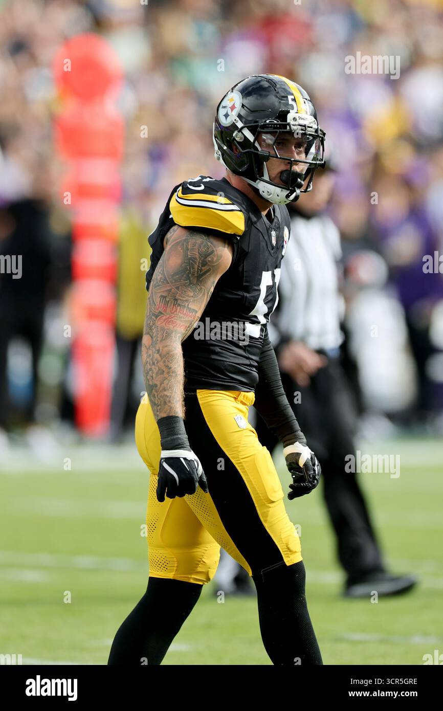 Pittsburgh Steelers Nick Herbig (51) celebrate a sack of Minnesota ...