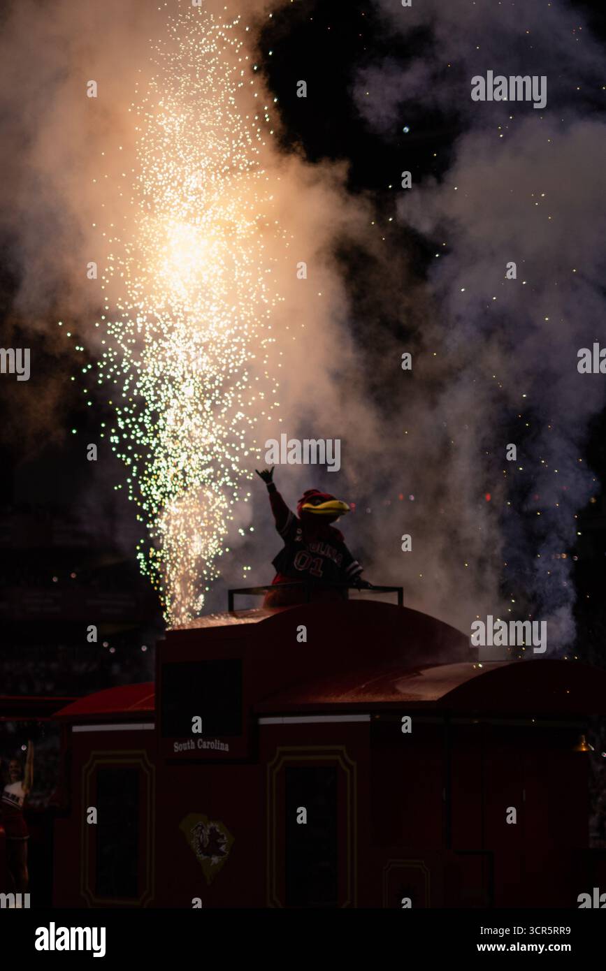 South Carolina mascot "Cocky" makes his entrance before an NCAA college ...