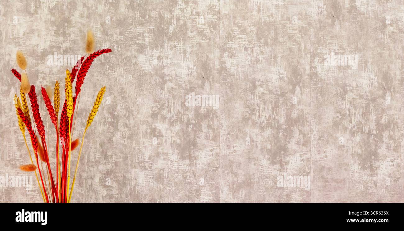 The template is Dried flowers on a gray background with space to copy ...