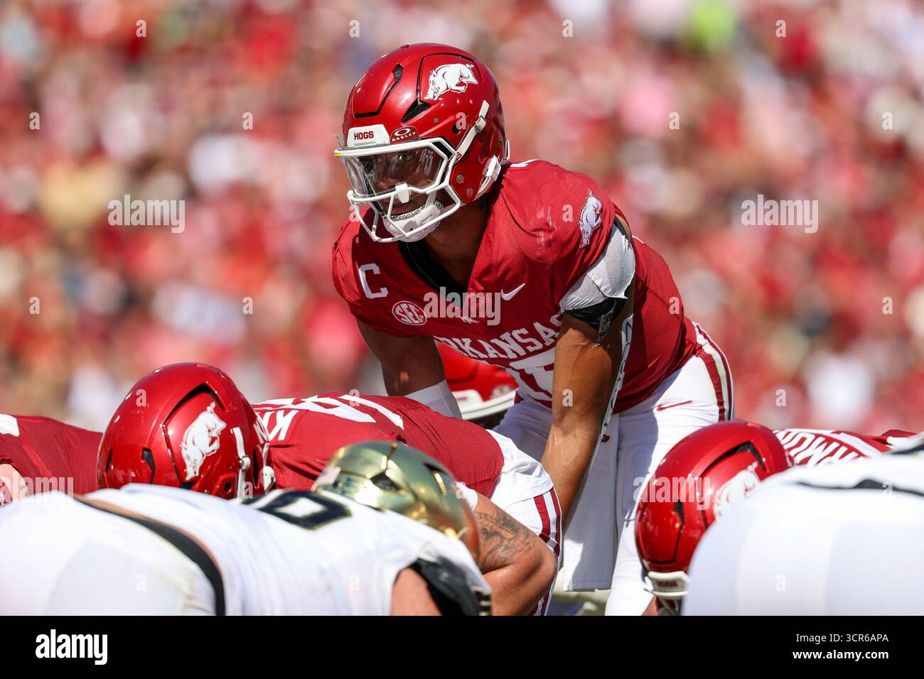 September 27, 2025: Arkansas Razorbacks quarterback Taylen Green (10 ...
