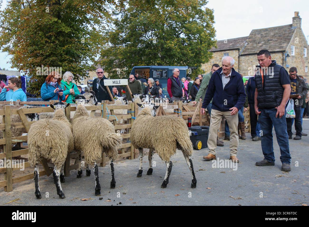 40th Masham Sheep Fair, North Yorkshire, England Stock Photo - Alamy