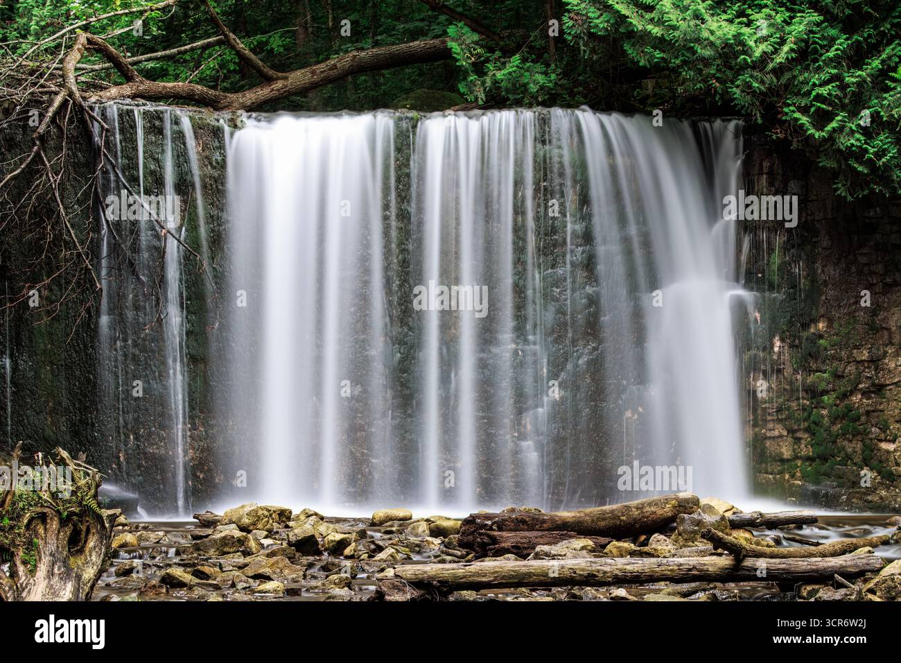 Silky waterfall, fallen trees and lush forest canopy Stock Photo - Alamy