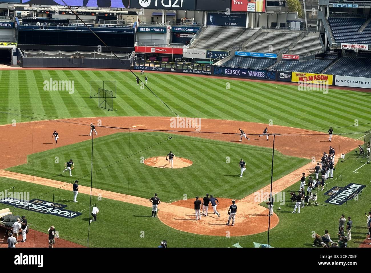 New York Yankees players practice fielding bunts at Yankee Stadium in ...