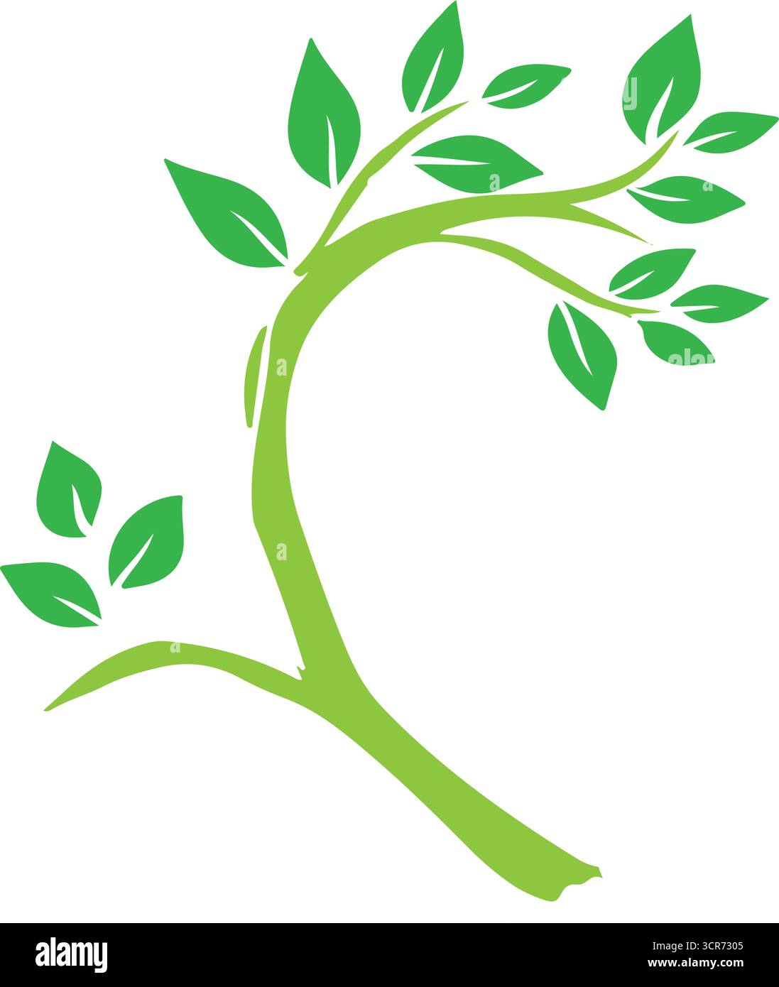 Tree leaves background limb Cut Out Stock Images & Pictures - Alamy