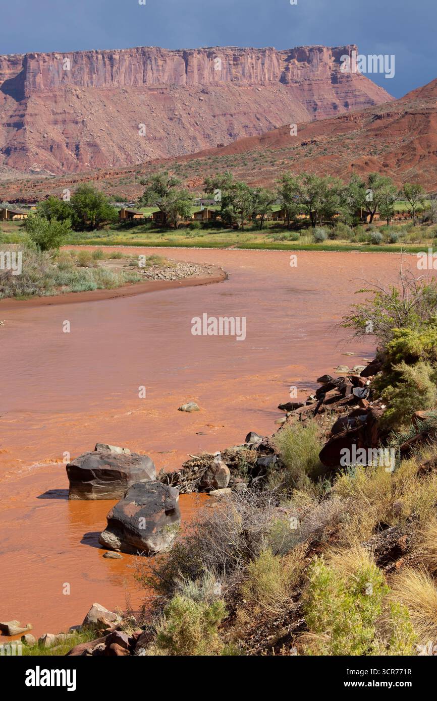 The Colorado River carrying large amounts of sandstone silt after a ...